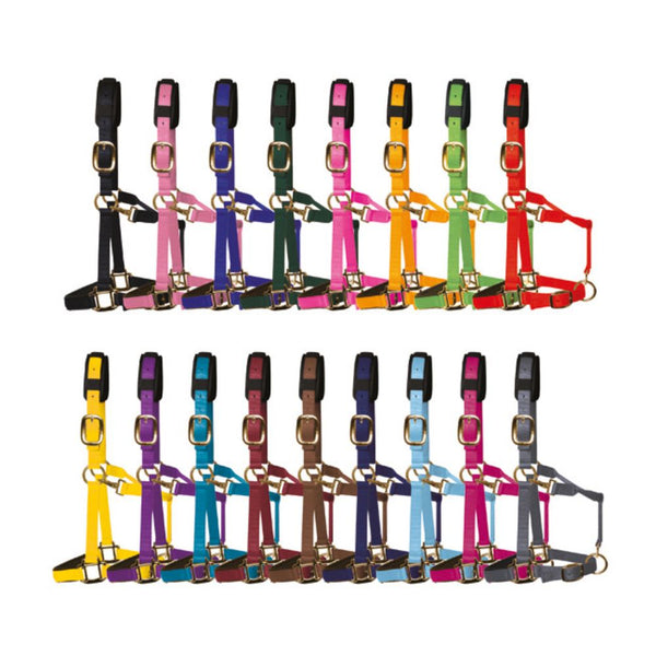 KM Elite Luxury Padded Headcollar - Pet & Paddock