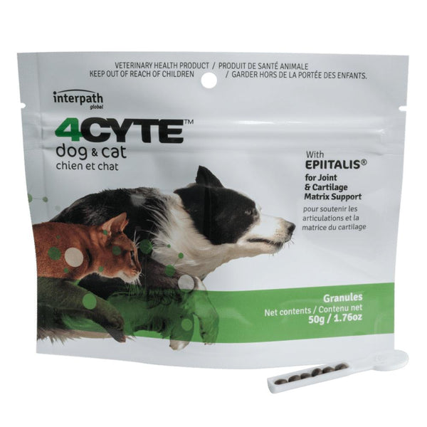 4CYTE Granules for Dogs and Cats 50g - Pet & Paddock
