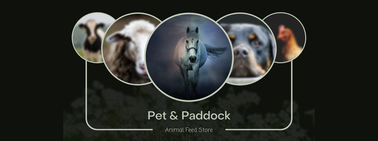 The Village Saddlery Ltd - Clevedon: Horse Gear Galore and More!